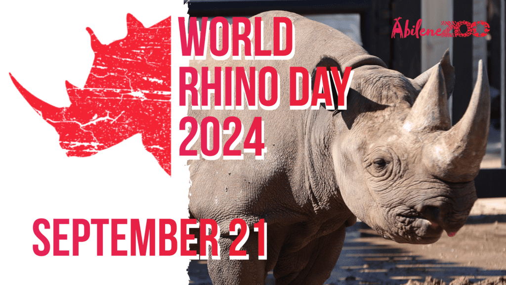World Rhino Day - Abilene Zoo